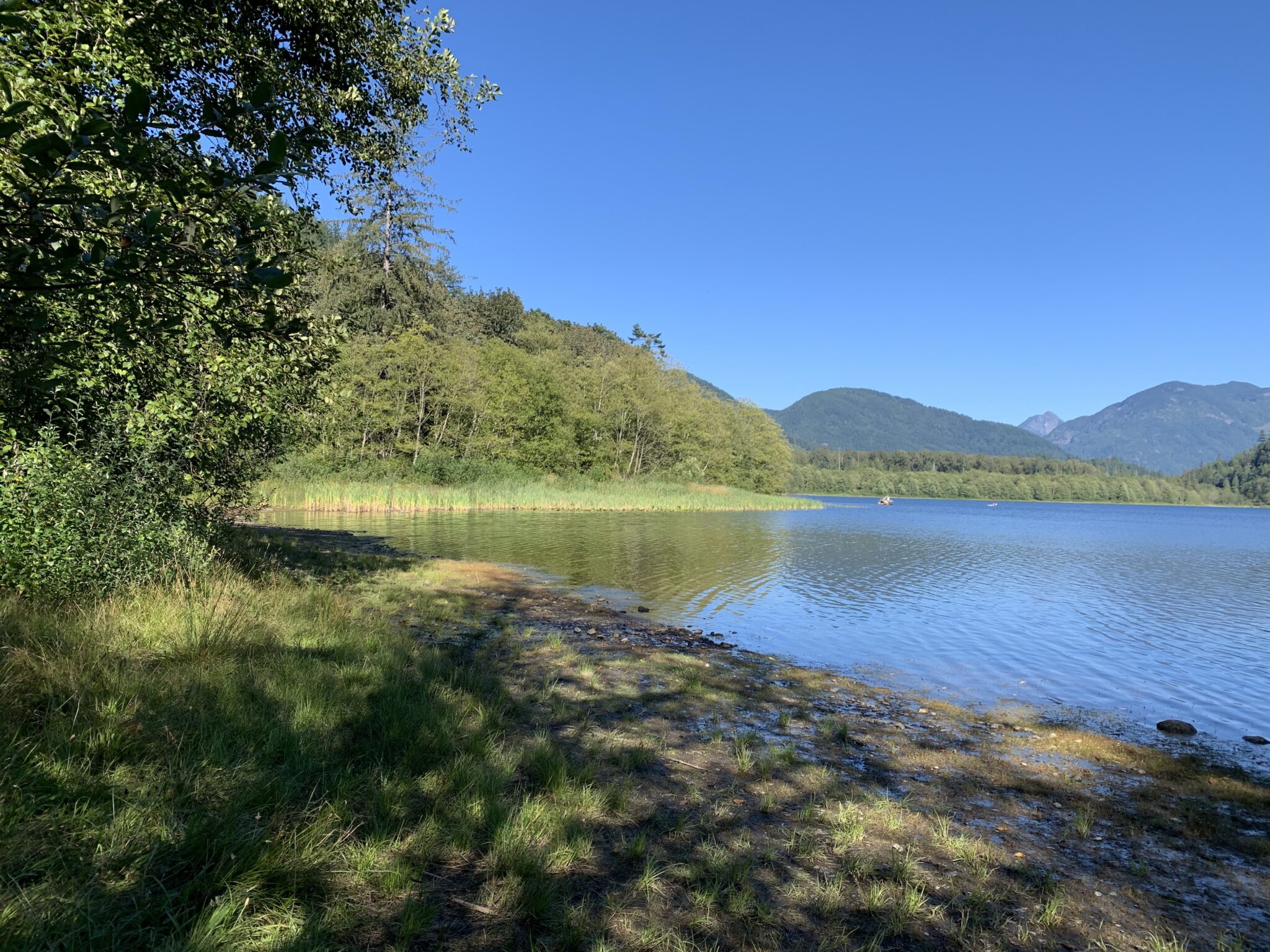 Sasquatch Provincial Park – Nature Connex