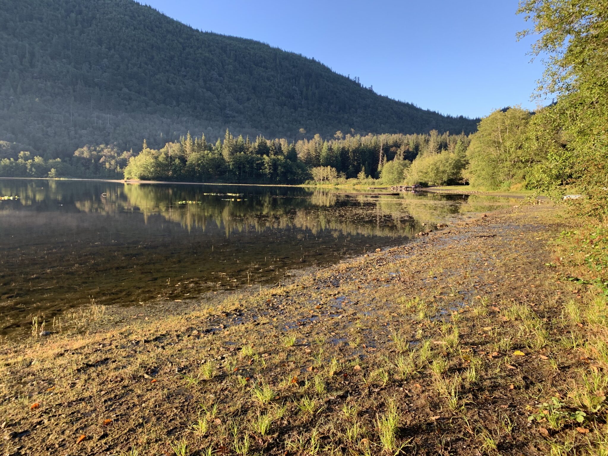 Sasquatch Provincial Park – Nature Connex