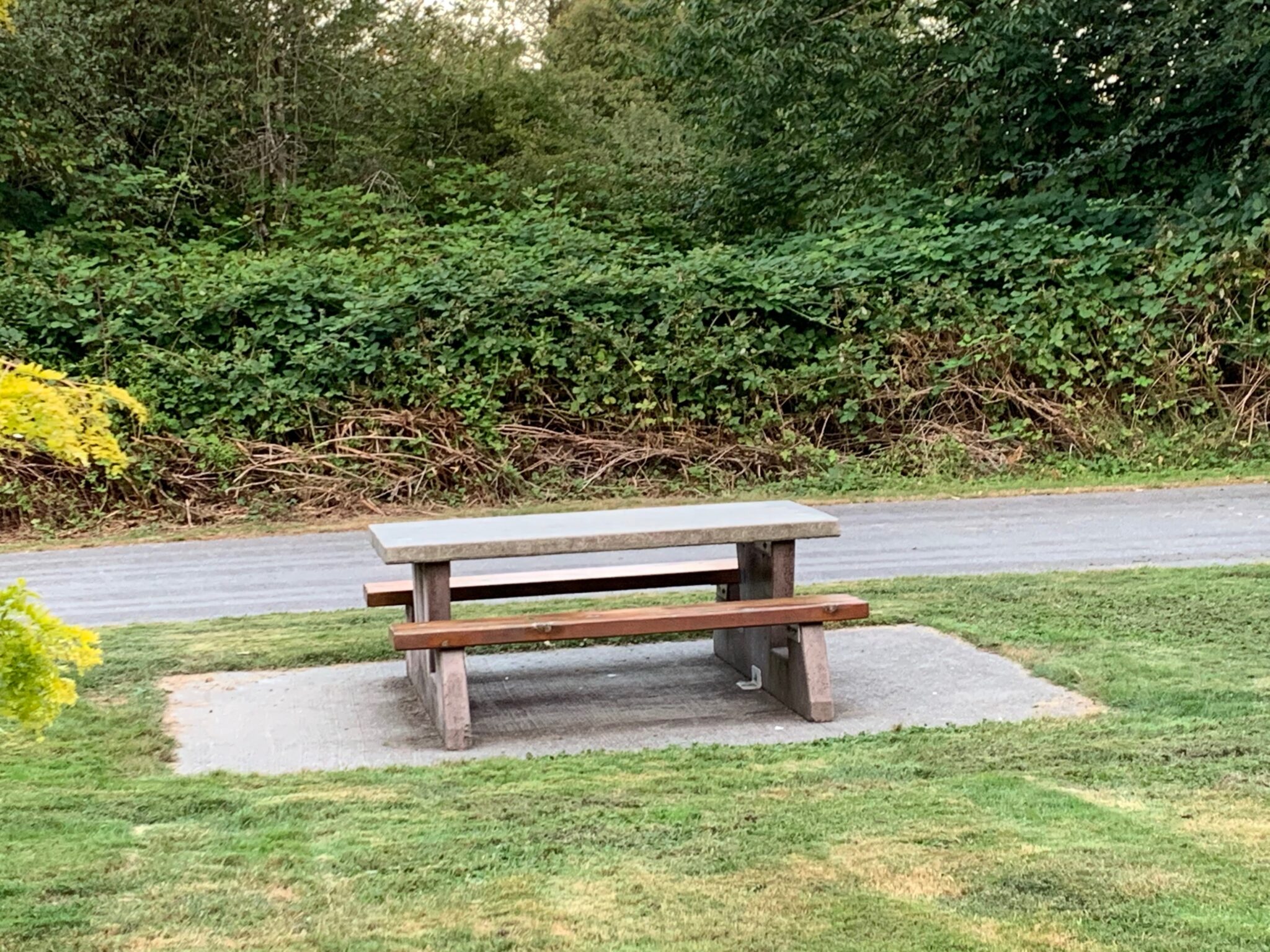 Tynehead Park – Nature Connex